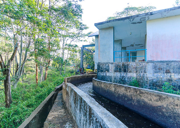 Barcaple I MHPP | WKV