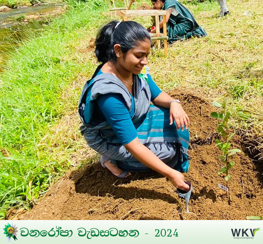 WANAROPA – Reforestation Program, 2024 | WKV